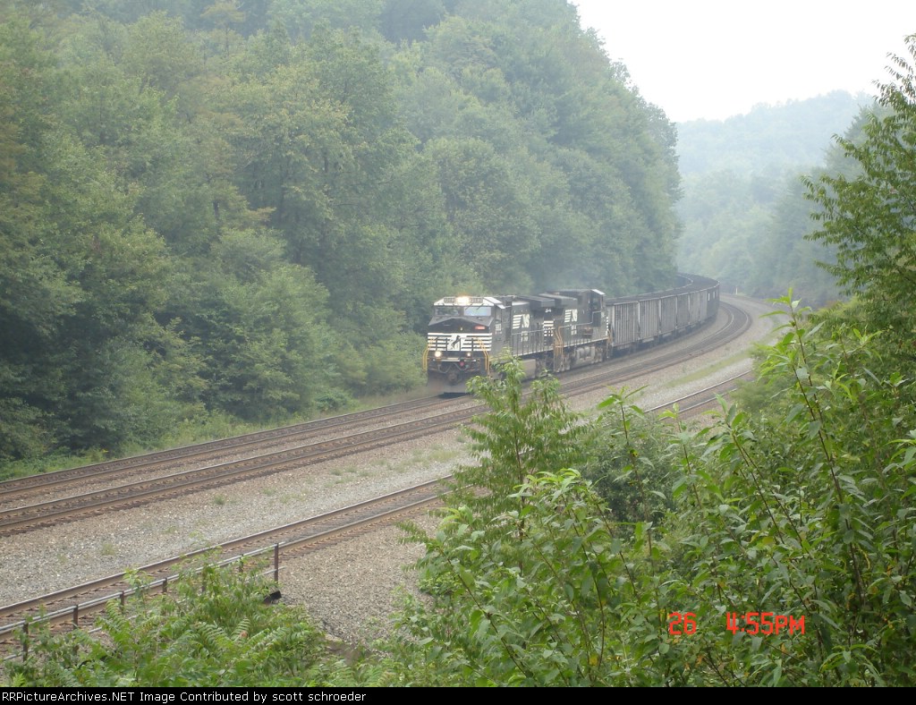 NS 9883 & NS 9764 head WB w/NS 501